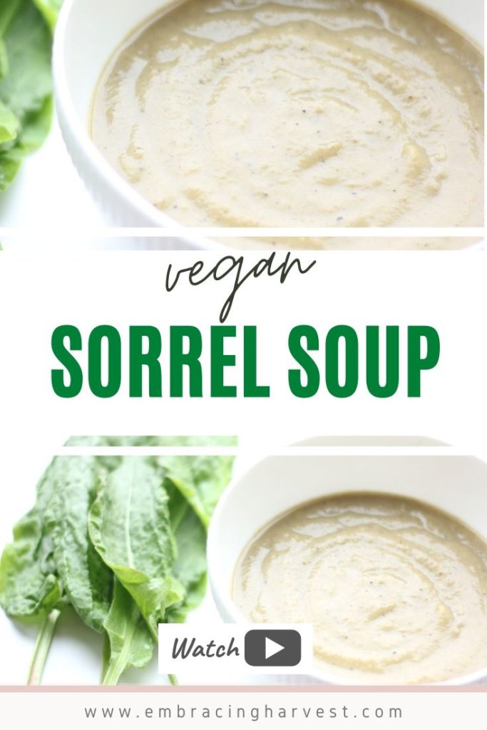 Eat Local in Spring with this Vegan Sorrel Soup - Embracing Harvest