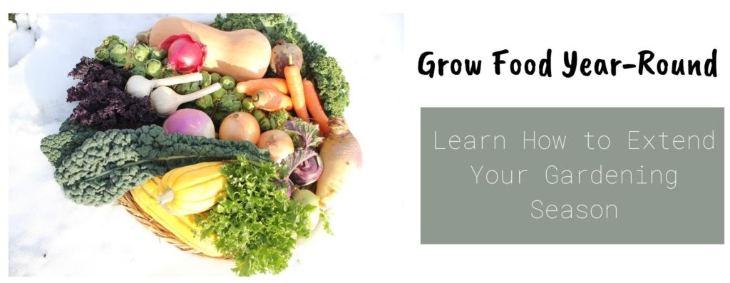 10 Cold Hardy Vegetables to Grow in Winter - Embracing Harvest